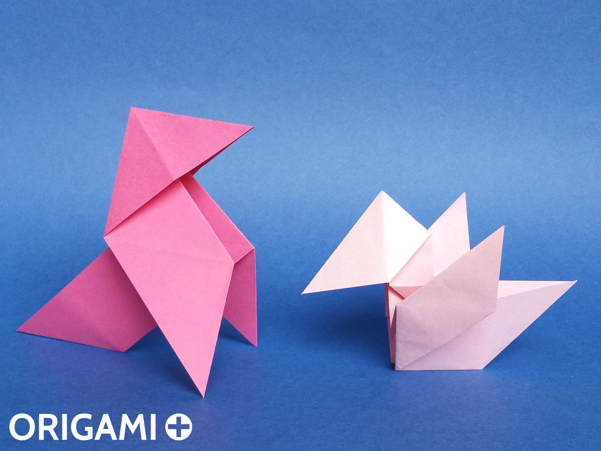 Origami models with photos and videos