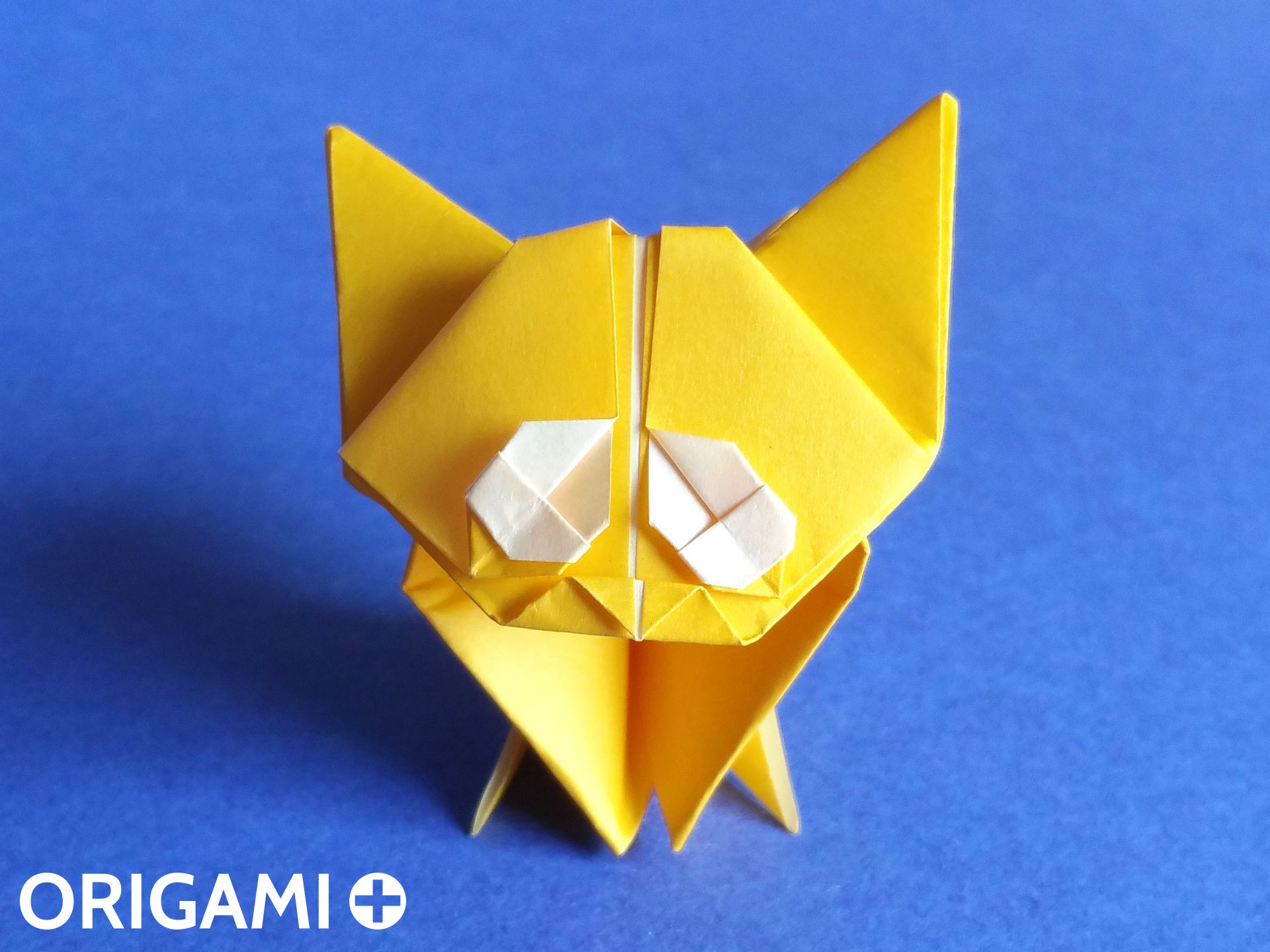 Origami models with photos and videos