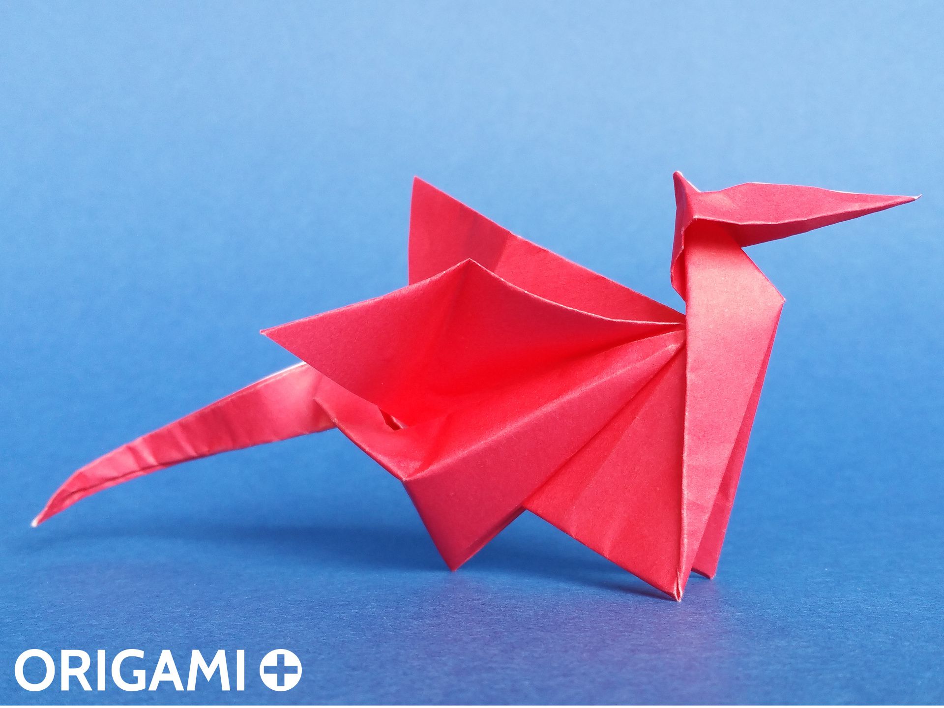 Origami models with photos and videos