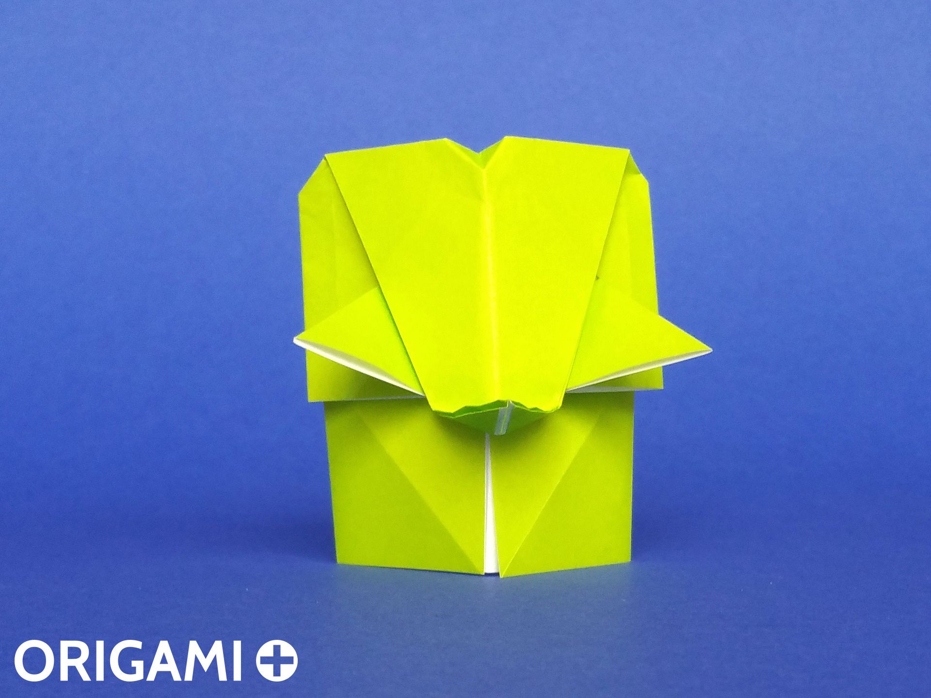 Origami models with photos and videos