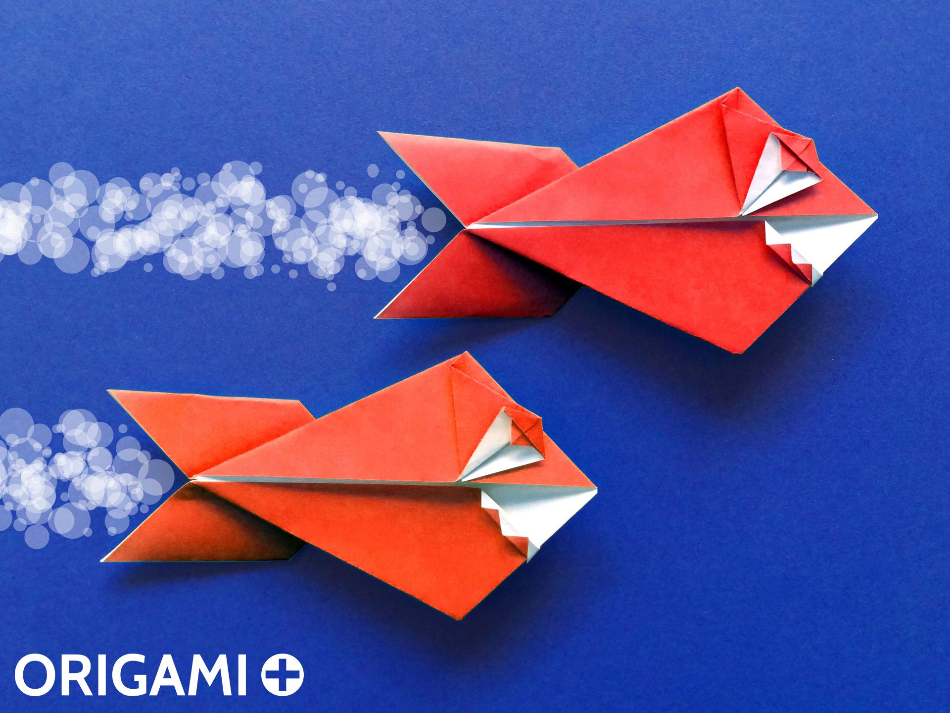 Origami models with photos and videos