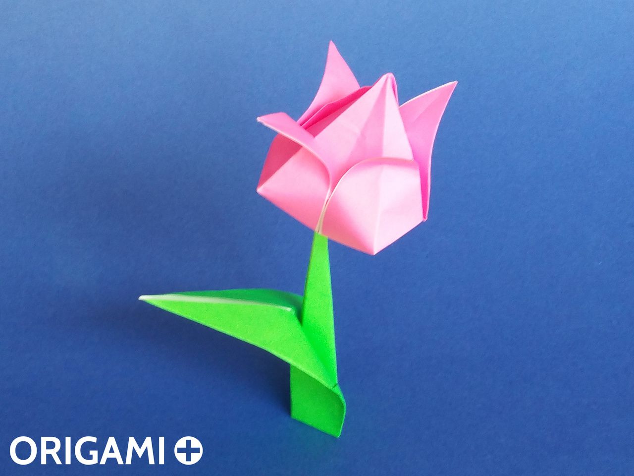 Origami Tulip