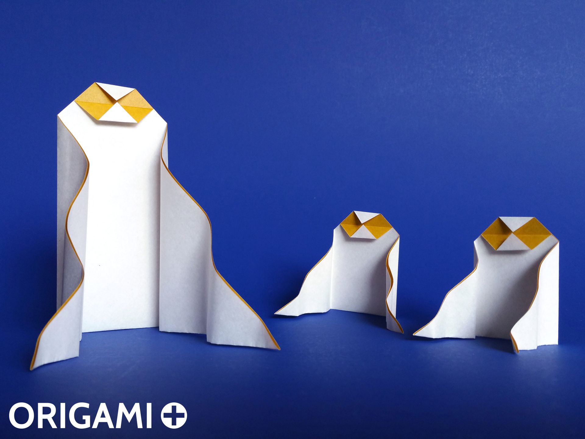 Origami models with photos and videos