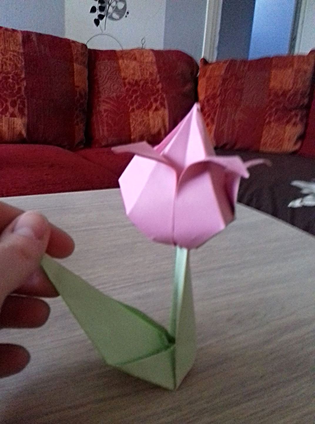 Pink paper tulip